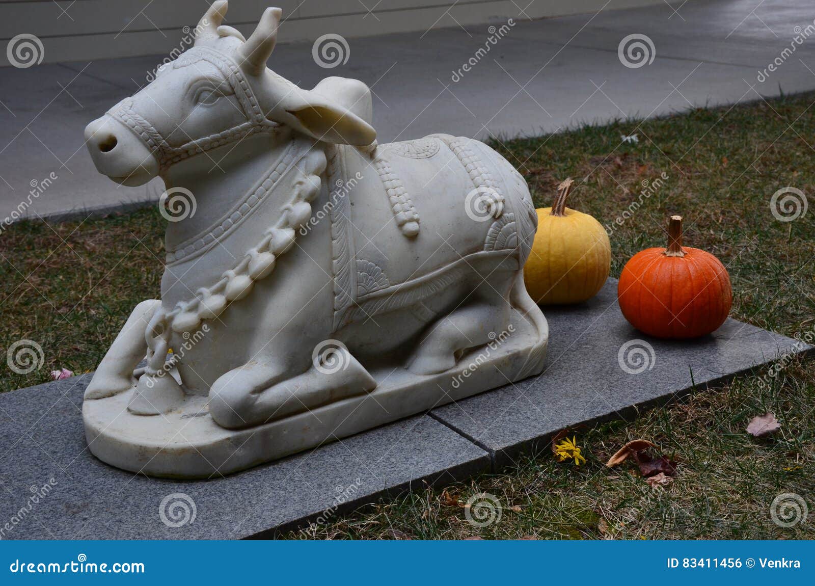 Nandi bull Hindu god stock photo. Image of goddes, bull - 83411456