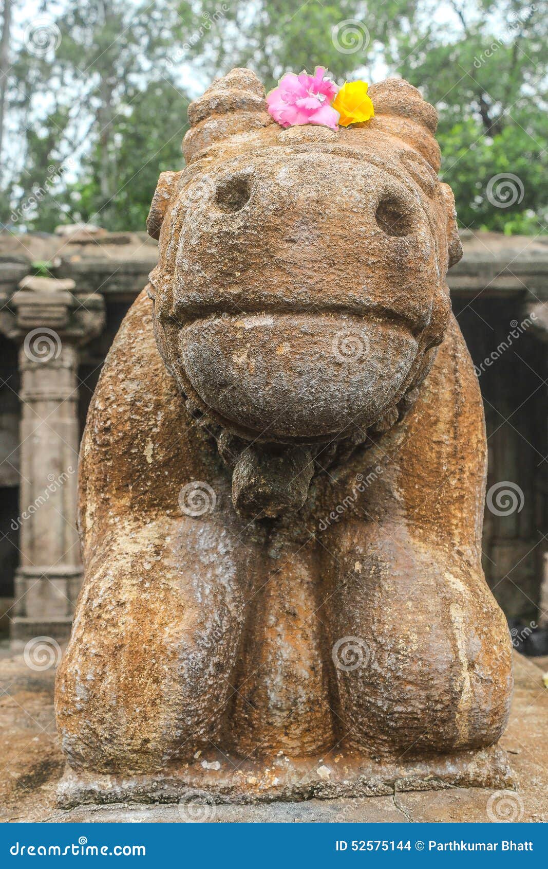 Nandi Das Baby Stier Von Lord Shankar Stockfoto - Bild von ...