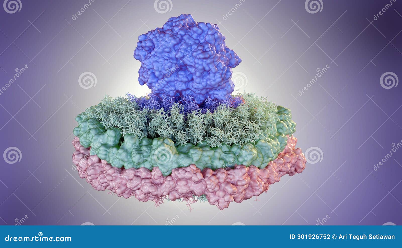 Nanodisc Consists of Phospholipids and a Stabilizing Belt Stock ...