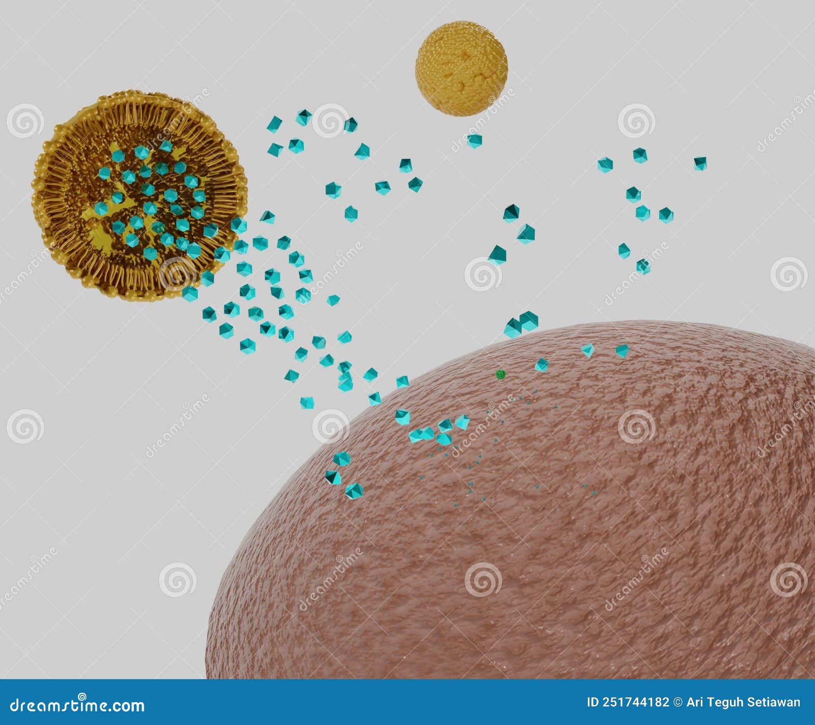 Nanodrug Delivery System With Liposomes Encapsulation Cancer Cell ...