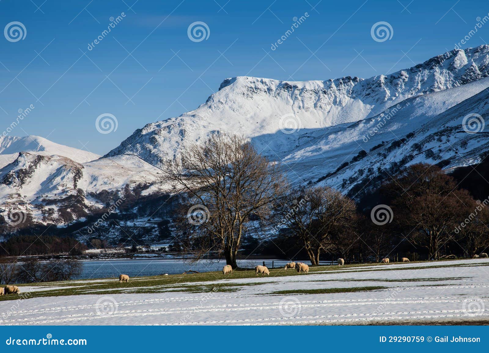 Nantlle Lake stock image. Image of nantlle, lake, mountain - 29290759