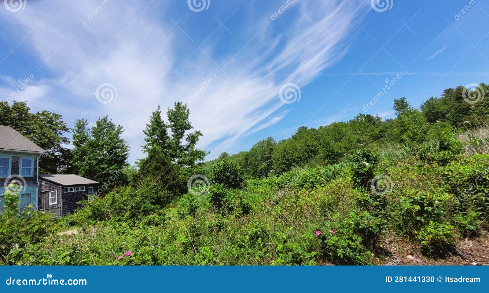 Nantucket Island in Cape Cod Area Editorial Image - Image of meadow ...