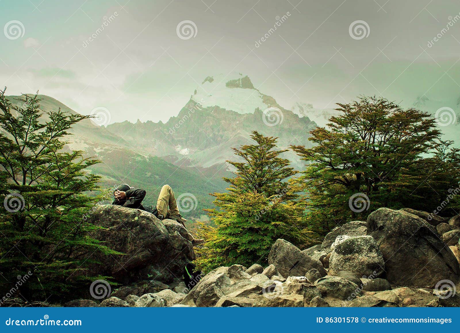 Nap In Nature Picture. Image: 86301578