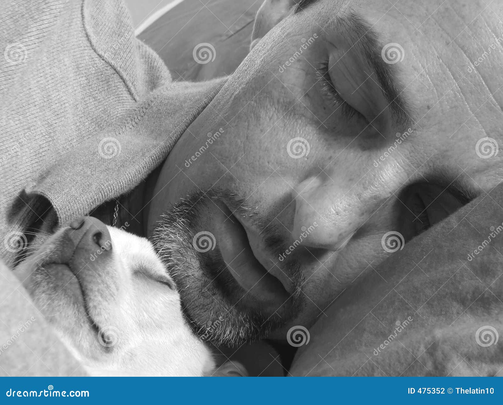 Nap Time stock photo. Image of quiet, people, white, gently - 475352