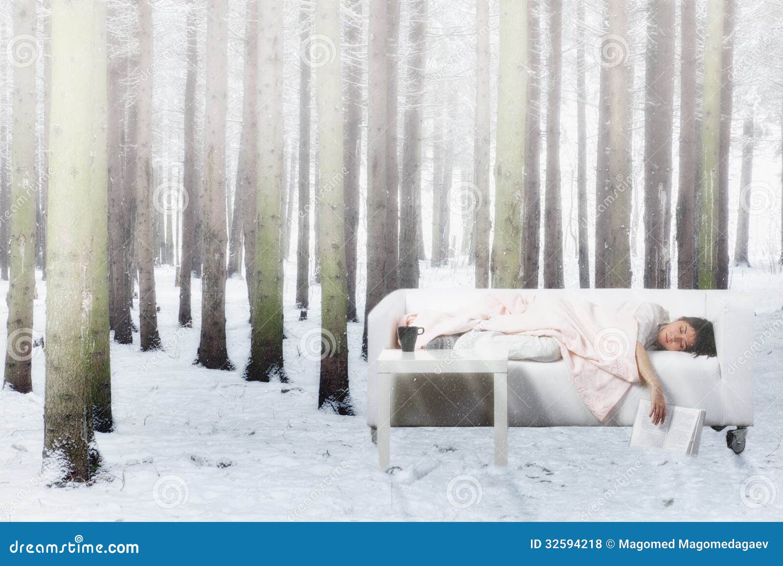 Nap in winter forest stock photo. Image of book, pretty - 32594218