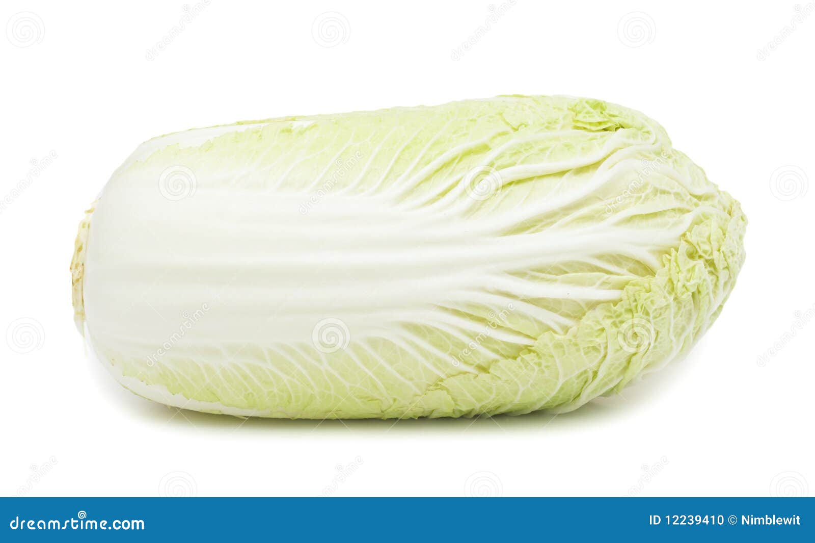 Napa Cabbage, Celery Cabbage, Brassica Rapa Subsp Pekinensis Royalty ...