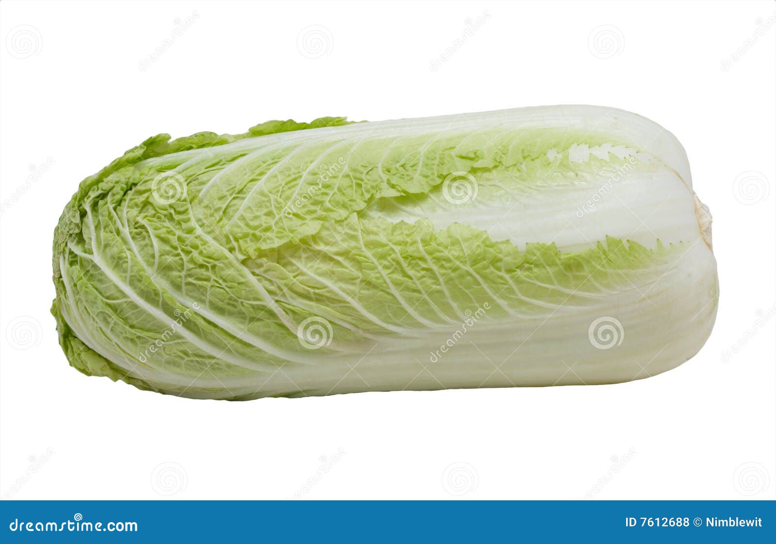 Napa Cabbage, Celery Cabbage, Brassica Rapa Subsp Pekinensis Royalty ...