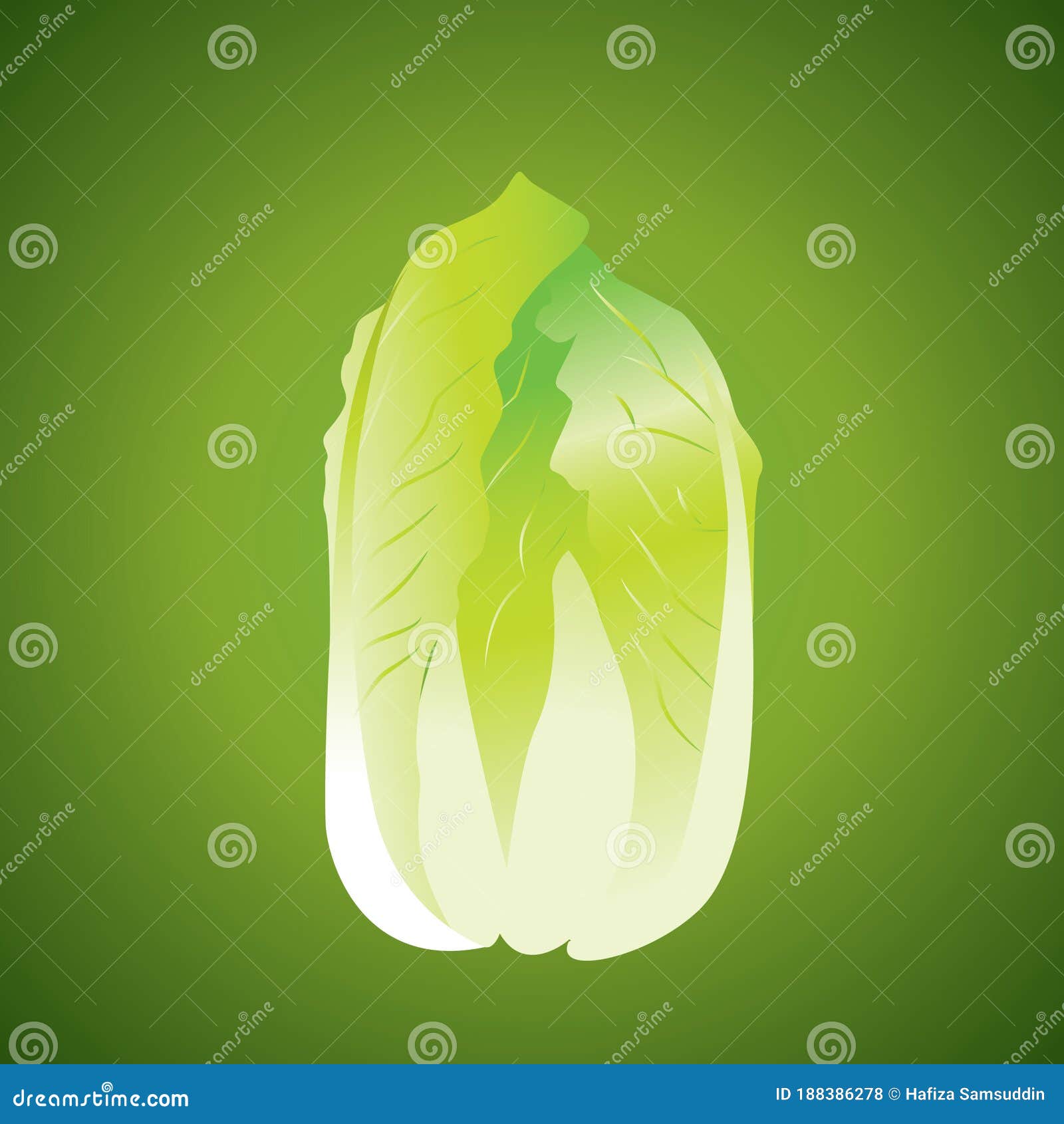 Set Of Napa Cabbages. Hand Drawn Outline Vector Sketch Illustration ...