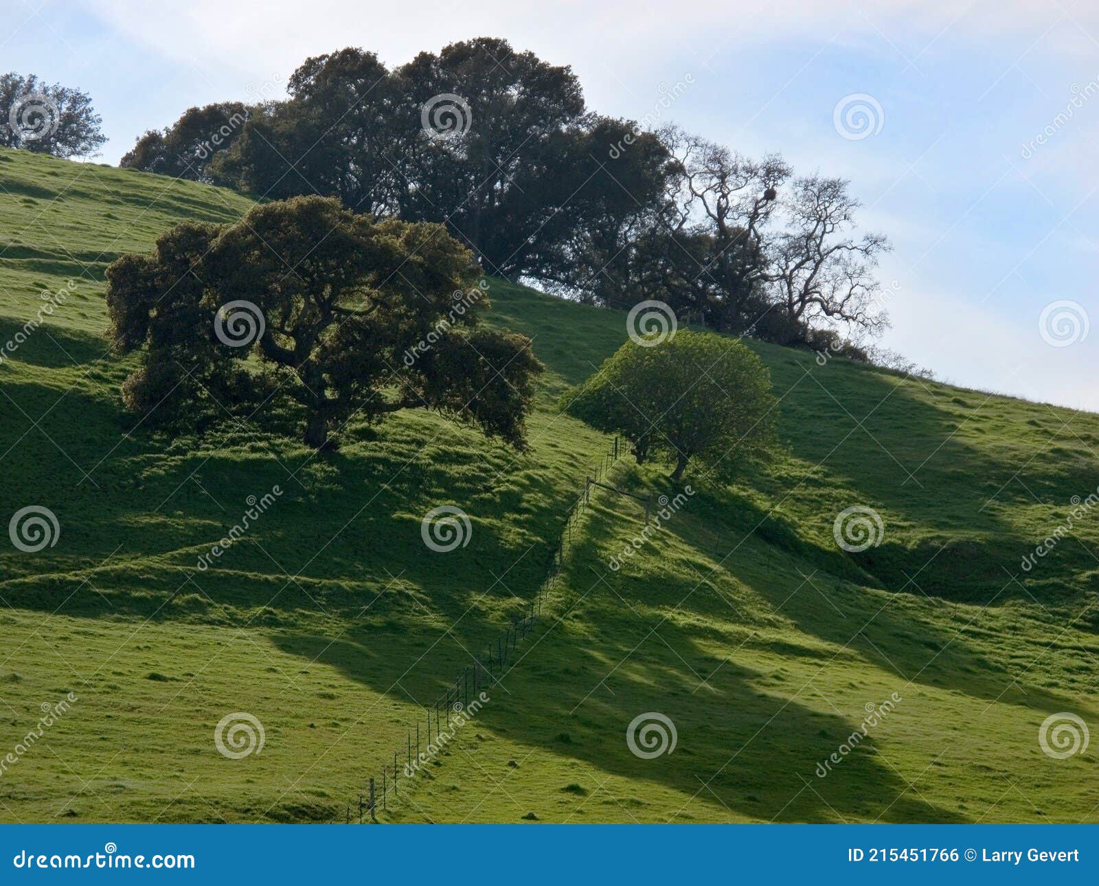 Napa County California Ranch Land Stock Photo - Image of garden ...