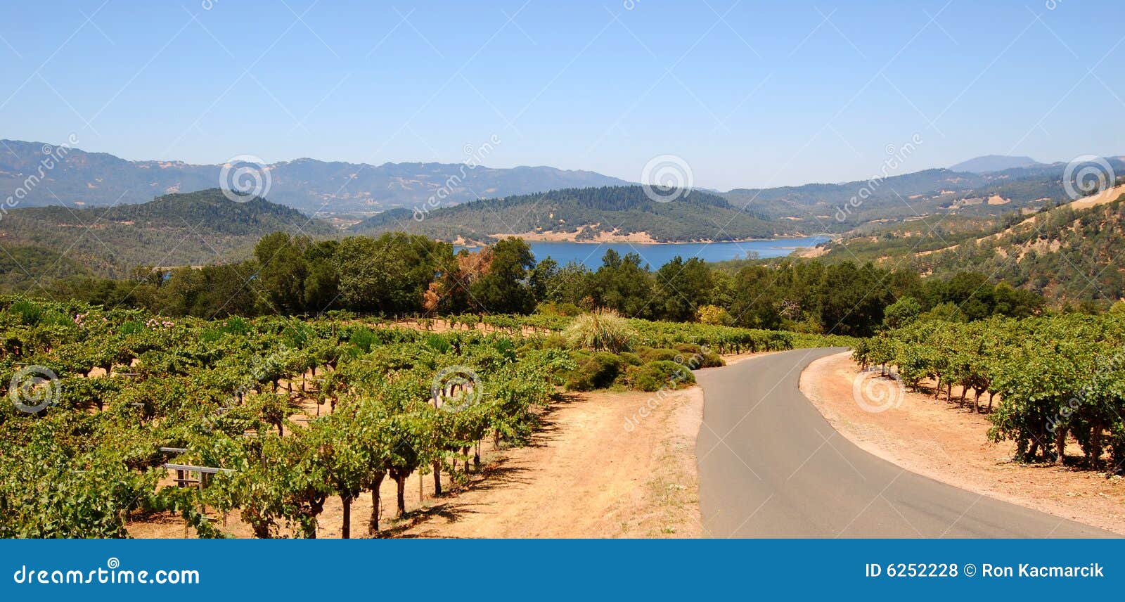 Napa Valley Vines and Mountains Stock Photo - Image of rows, organic ...