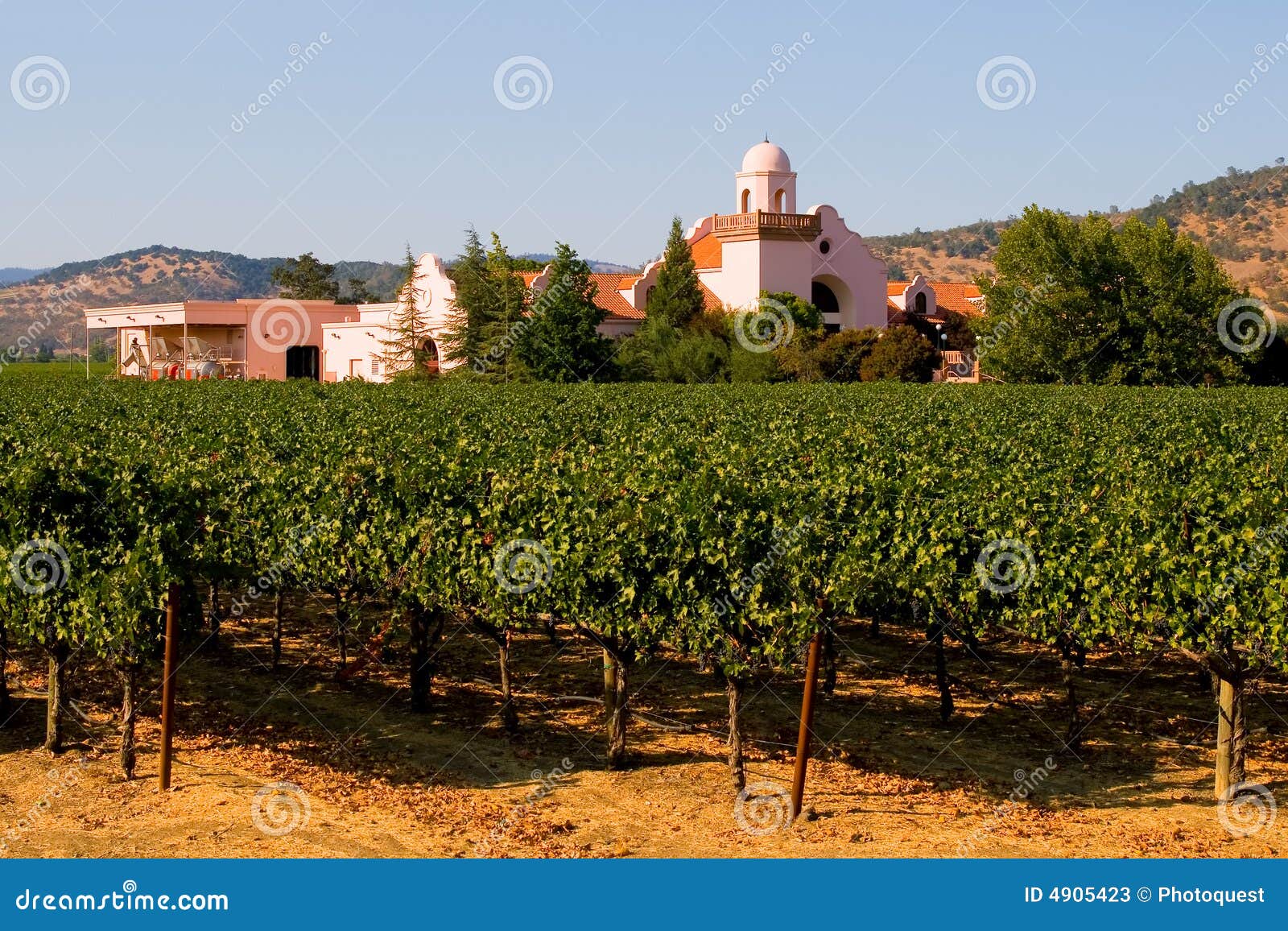 Napa Valley Vineyard Stock Photos - Image: 4905423