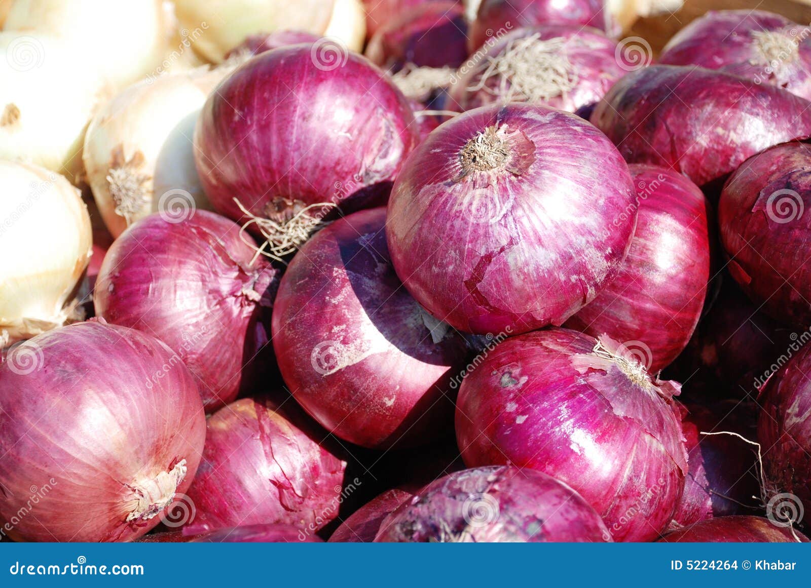 Napiform onions. stock photo. Image of agriculture, vegetarian - 5224264