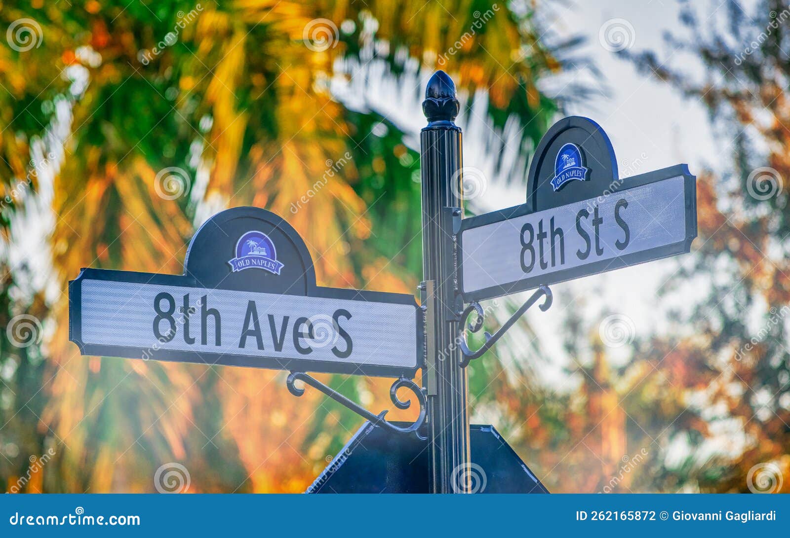 Naples Street Sign with Trees on the Background, Florida Stock Photo ...