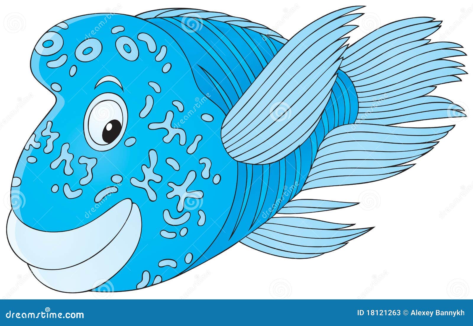 Napoleon-fish Stock Photos - Image: 18121263