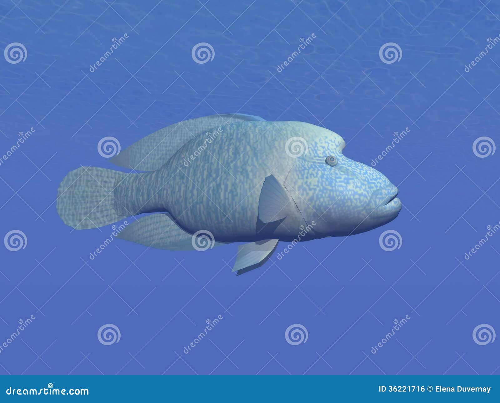 Napoleon-fish Cartoon Vector | CartoonDealer.com #18121263