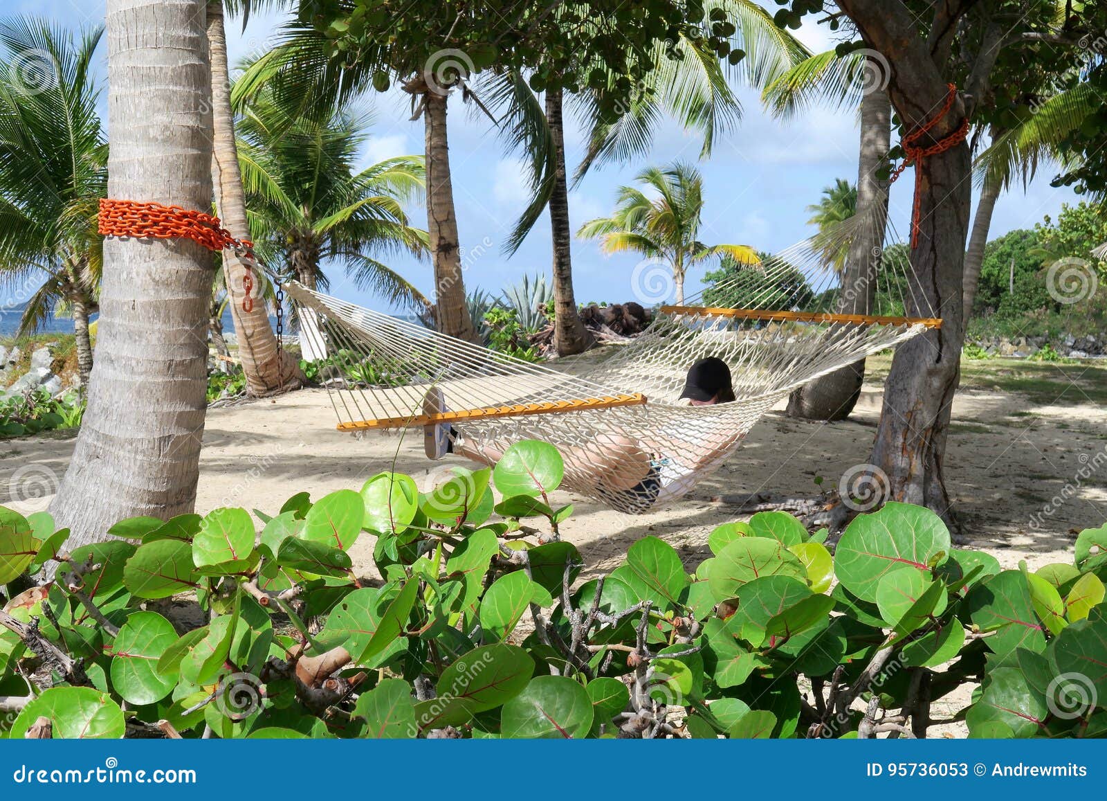 Napping in a Hammock stock image. Image of relaxing, sleeping - 95736053
