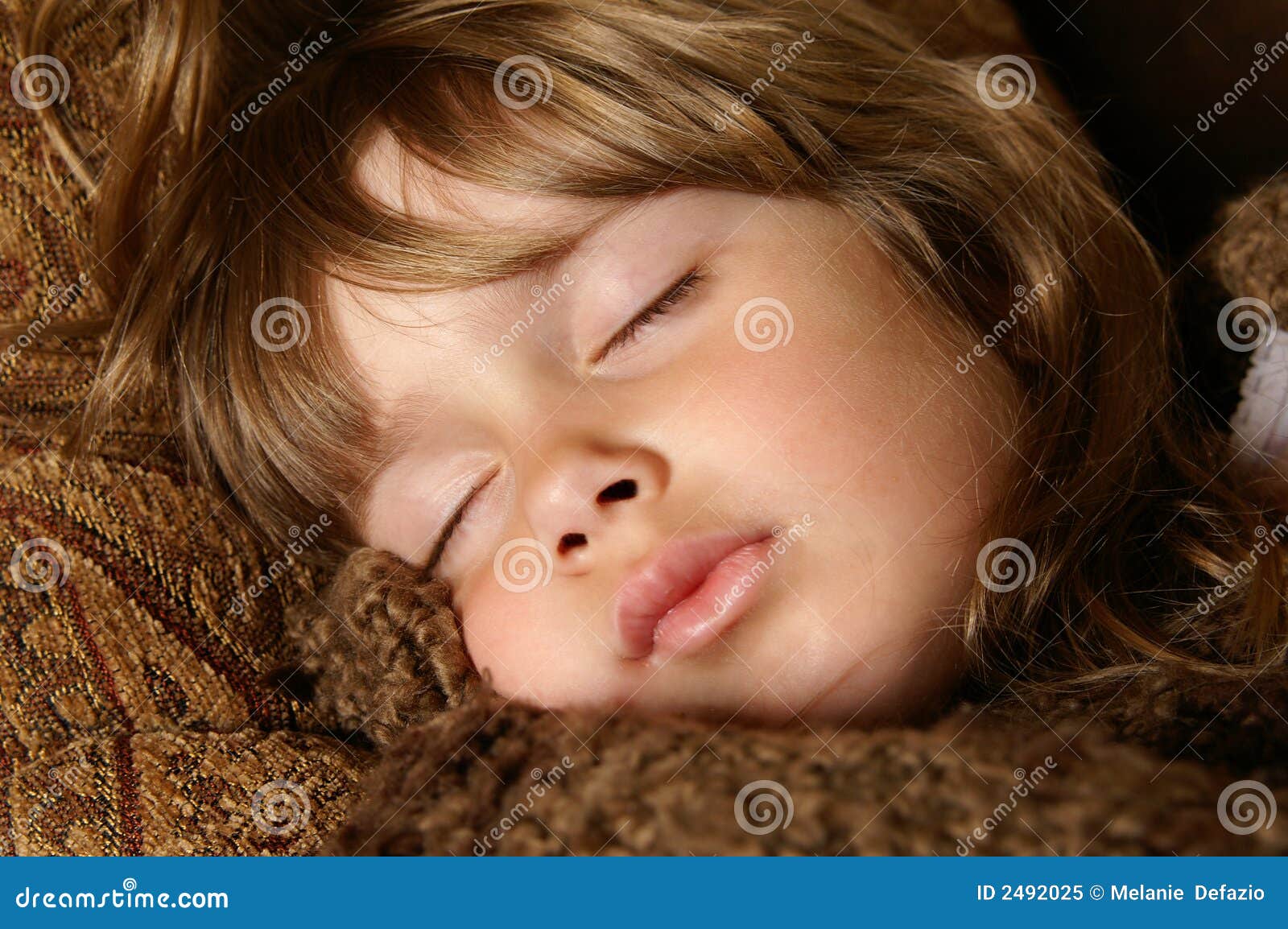 Naptime stock image. Image of childhood, brown, close - 2492025