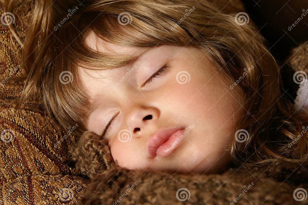Naptime stock image. Image of childhood, brown, close - 2492025
