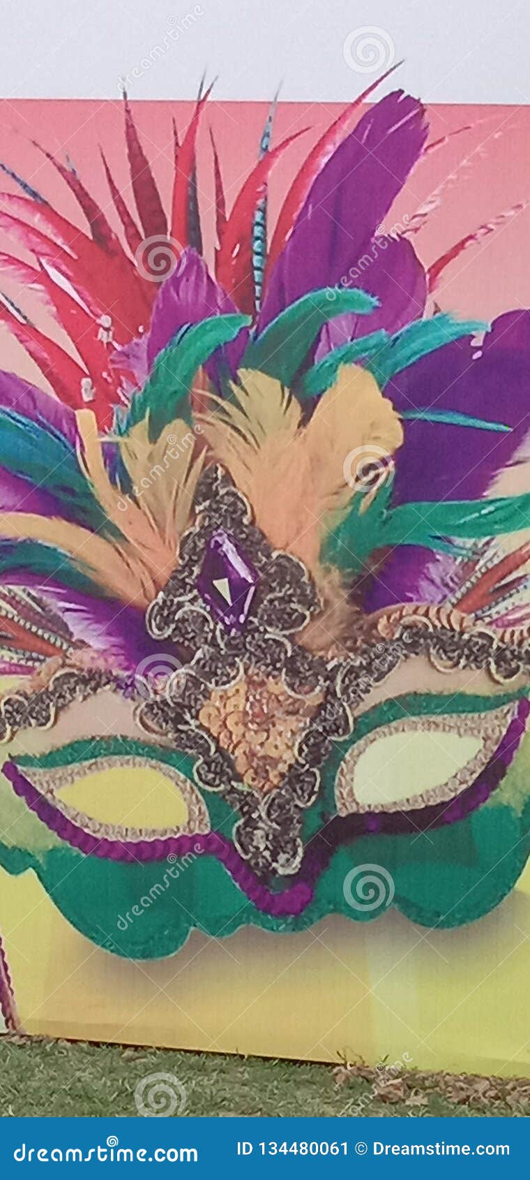 Naqab stock image. Image of naqab, face, mystery, unrevealed - 134480061