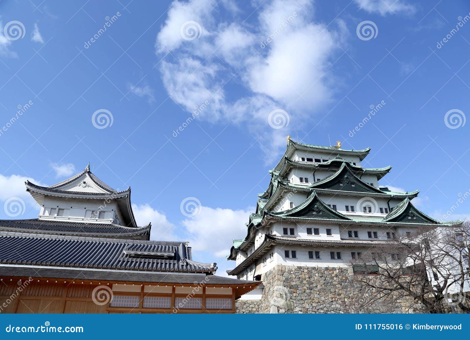 Nara Castle. stock photo. Image of history, city, building - 111755016