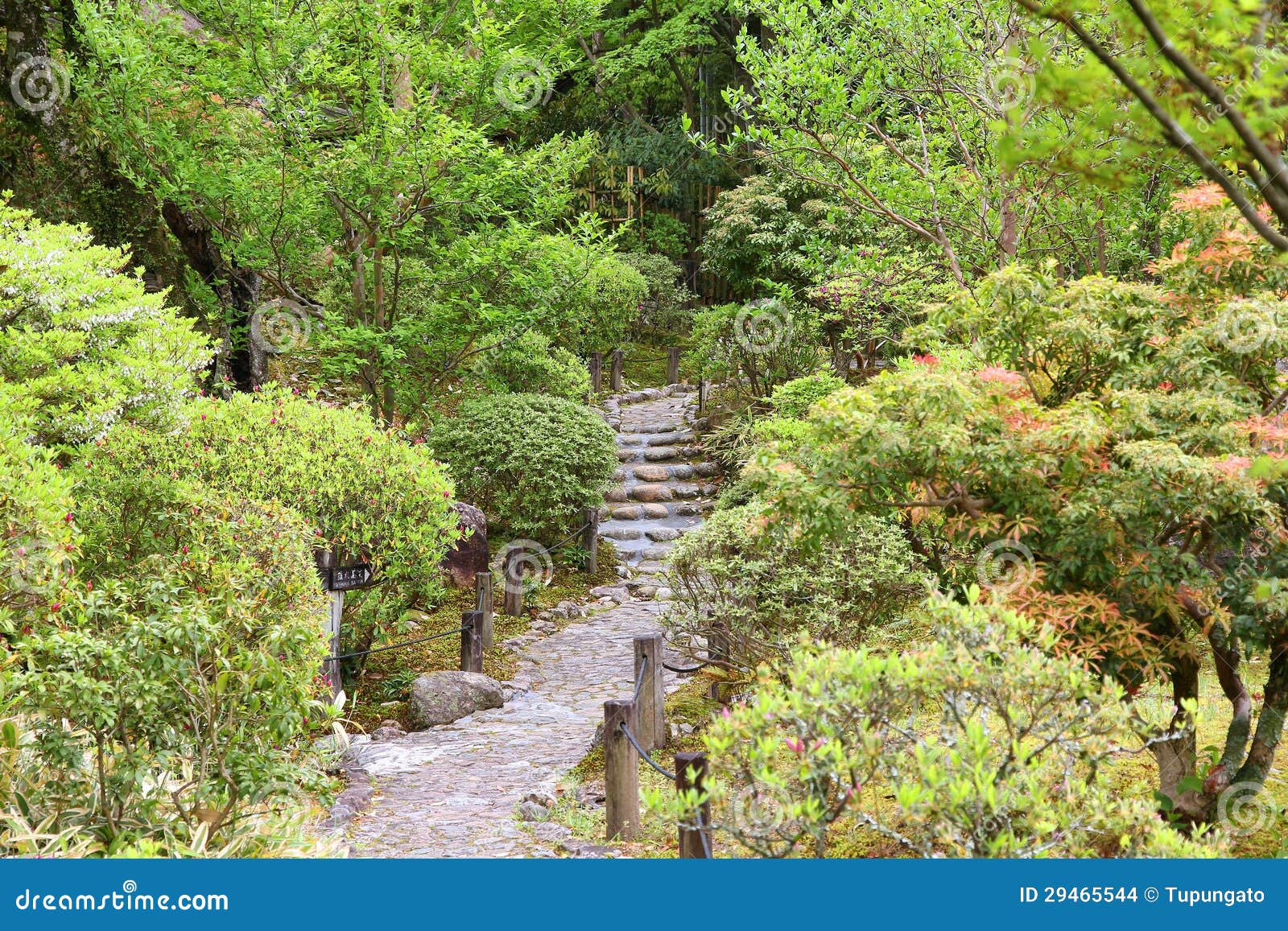 Nara, Japan stock photo. Image of nara, bonsai, landmark - 29465544