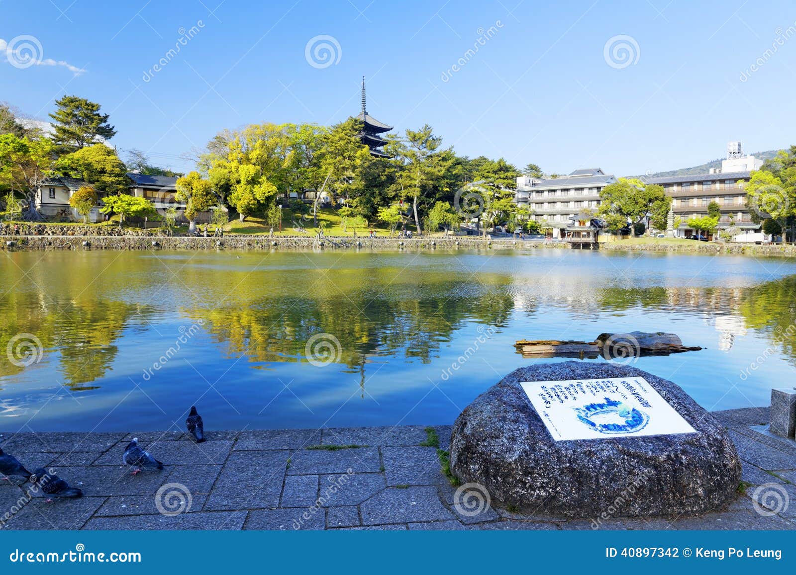 Nara, Japan at Sarusawa Pond. Stock Photo - Image of kofukuji, location ...
