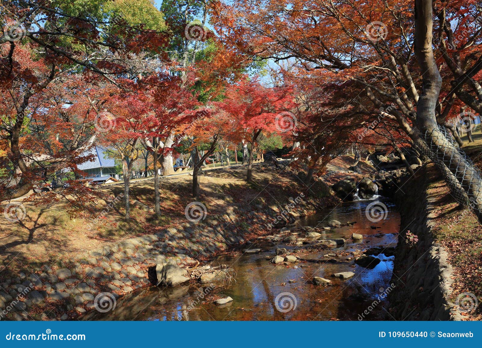 Nara Park in Autumn at Nara Japan Stock Photo - Image of fall ...