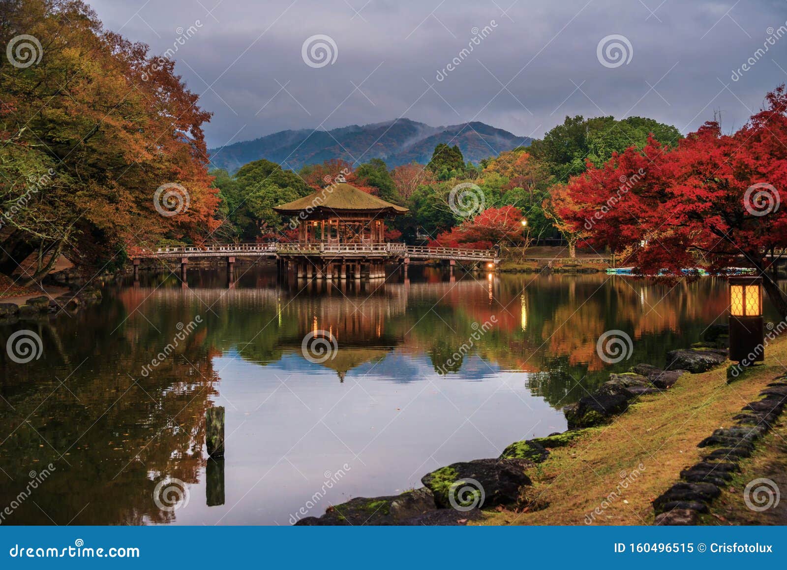 Nara Park evening editorial image. Image of nature, reflection - 160496515