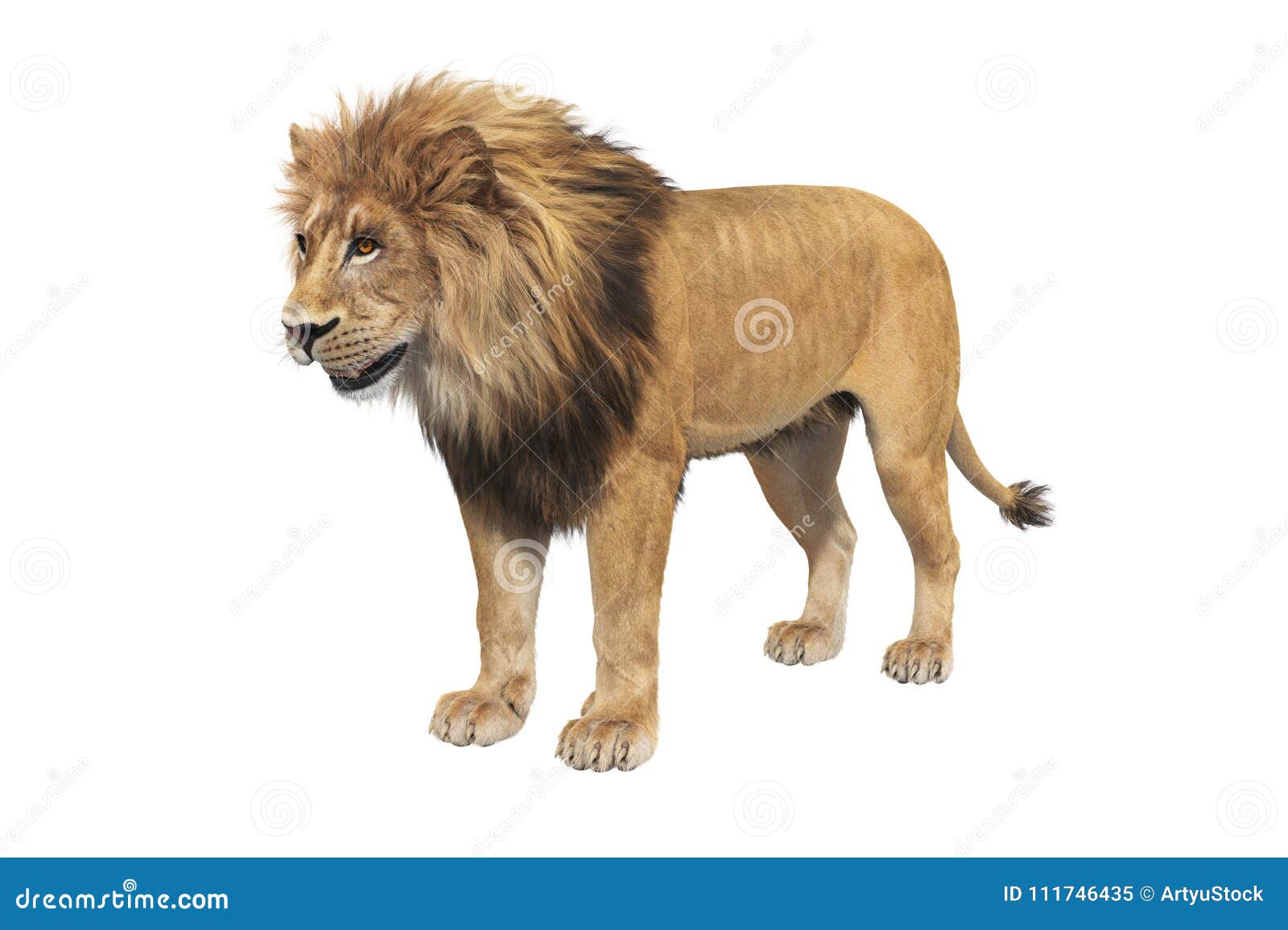 Naranja animal del león stock de ilustración. Ilustración de objeto ...