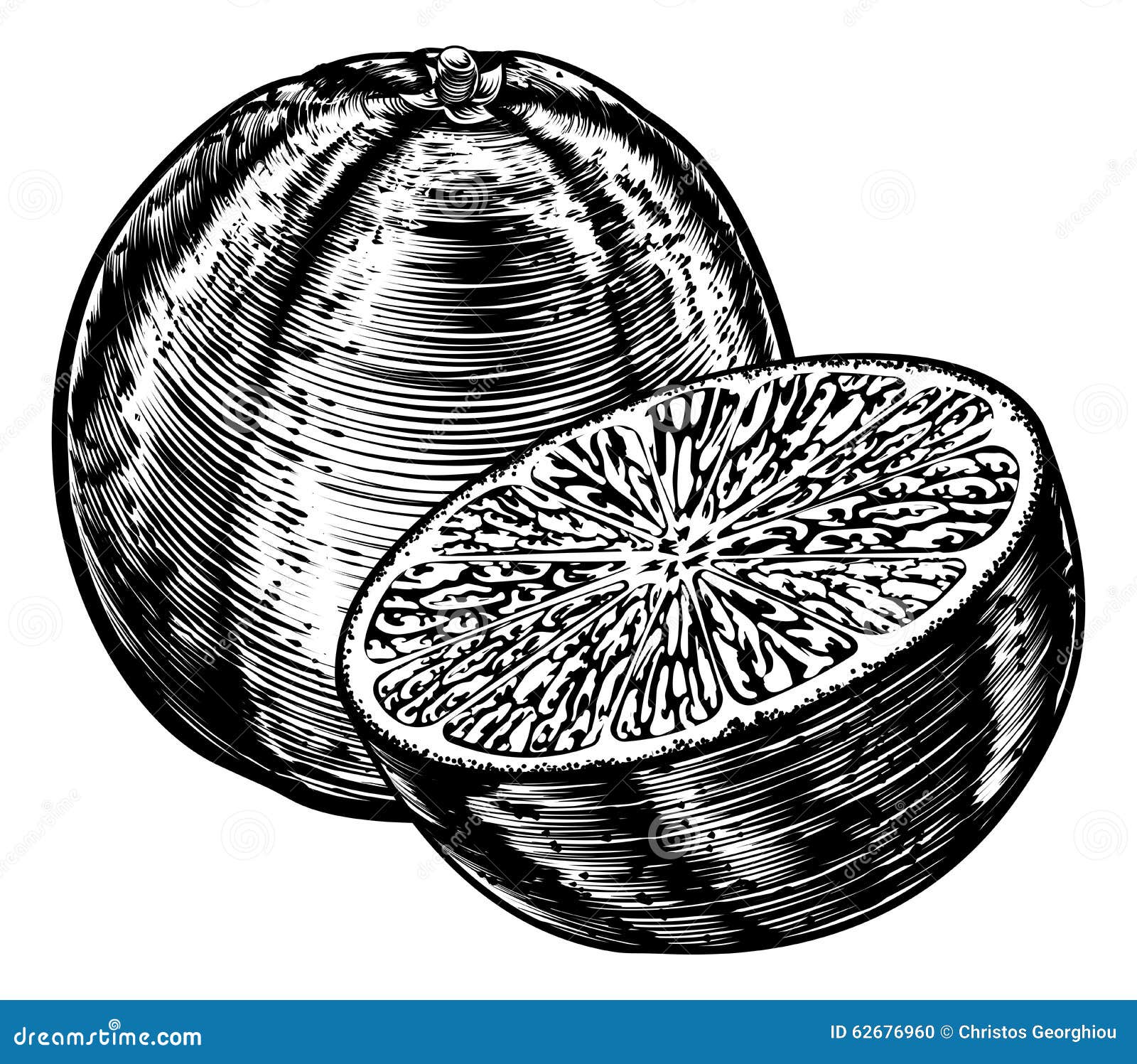 Naranja Cortada Grabar En Madera Del Vintage Ilustración del Vector ...