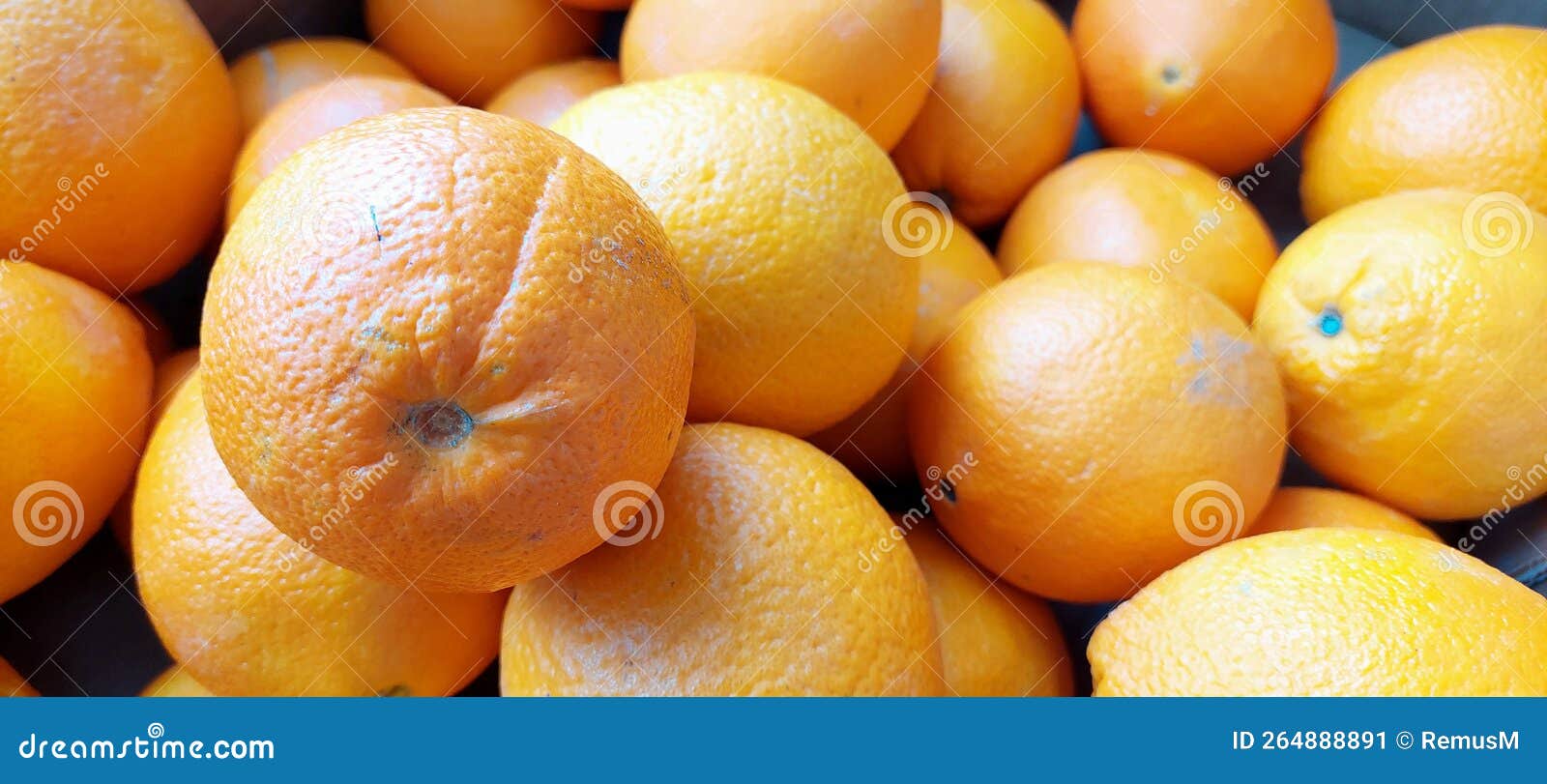 Naranja En Muchas Naranjas. Imagen de archivo - Imagen de porciones ...