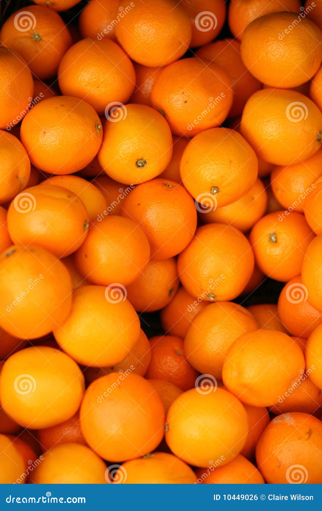 Naranjas foto de archivo. Imagen de fresco, mercado, ingrediente - 10449026