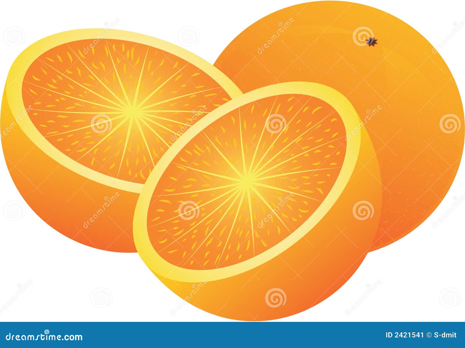 Naranjas del vector ilustración del vector. Ilustración de amarillo ...