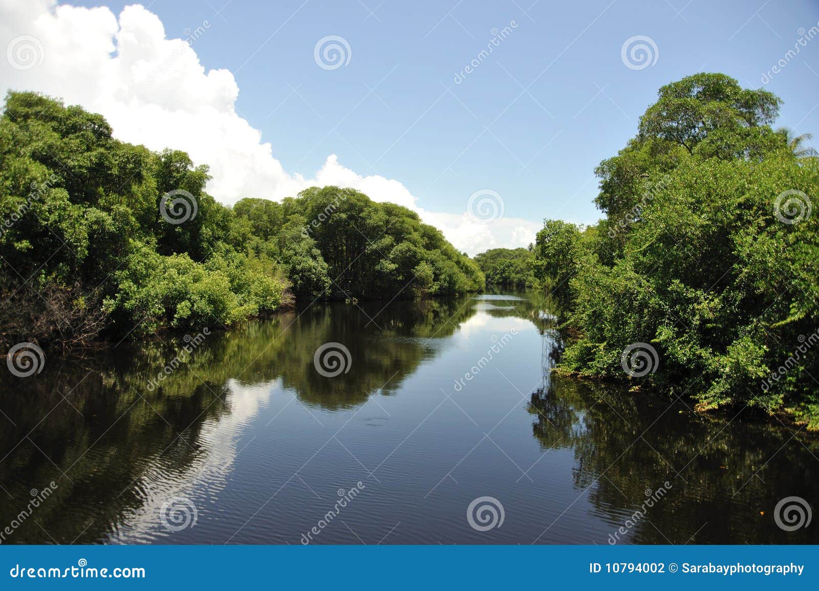 Nariva Swamp Stock Photos - Free & Royalty-Free Stock Photos from ...