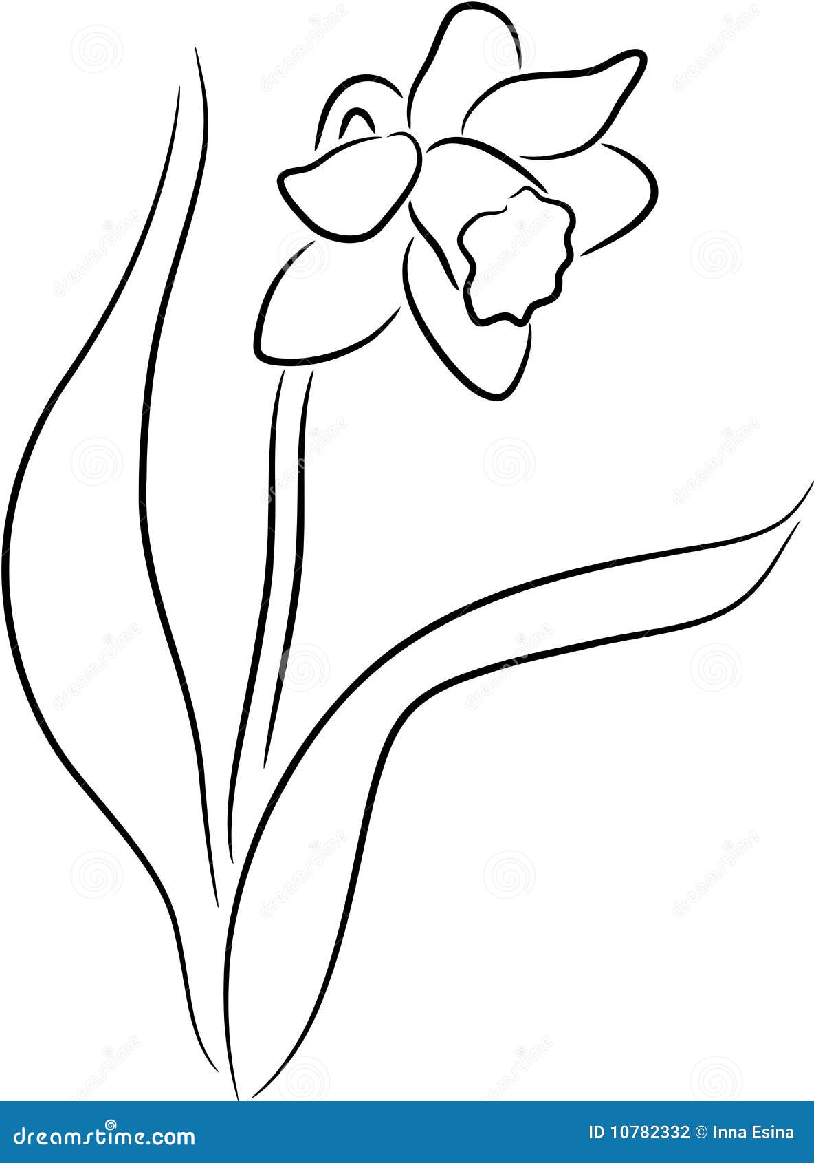 Narcissen vector illustratie. Illustration of nasals - 10782332