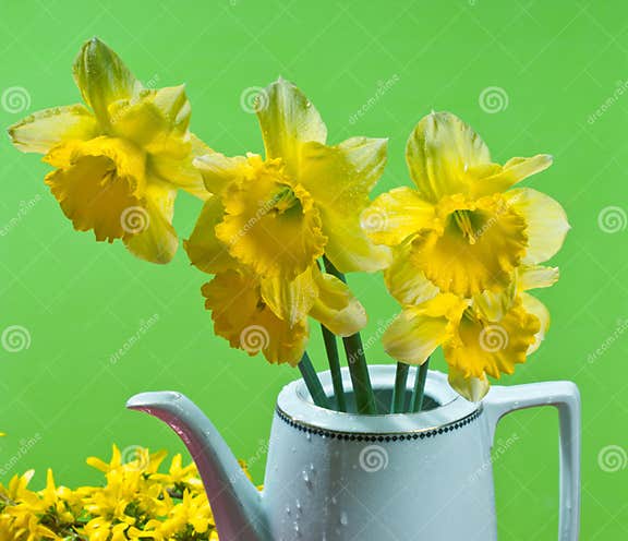 Narcissi in vase stock image. Image of yellow, fresh - 24264181