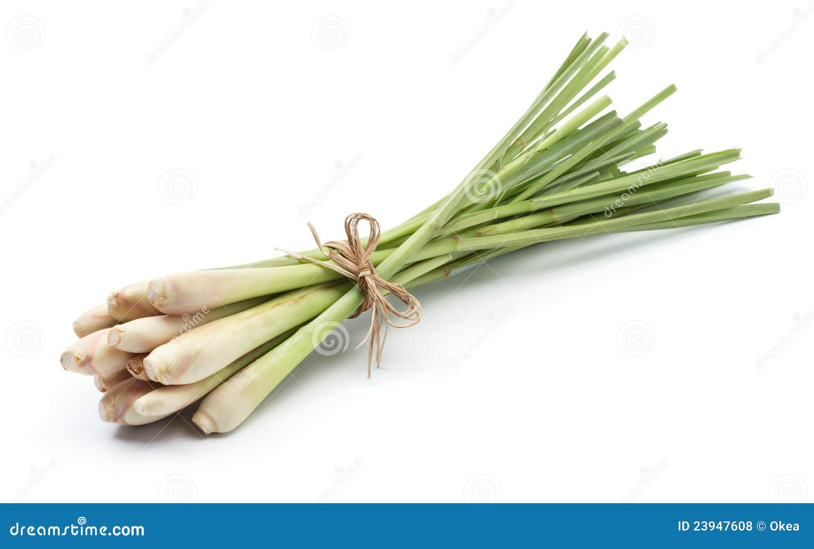 Nard indien photo stock. Image du herbe, fond, assaisonnement - 23947608