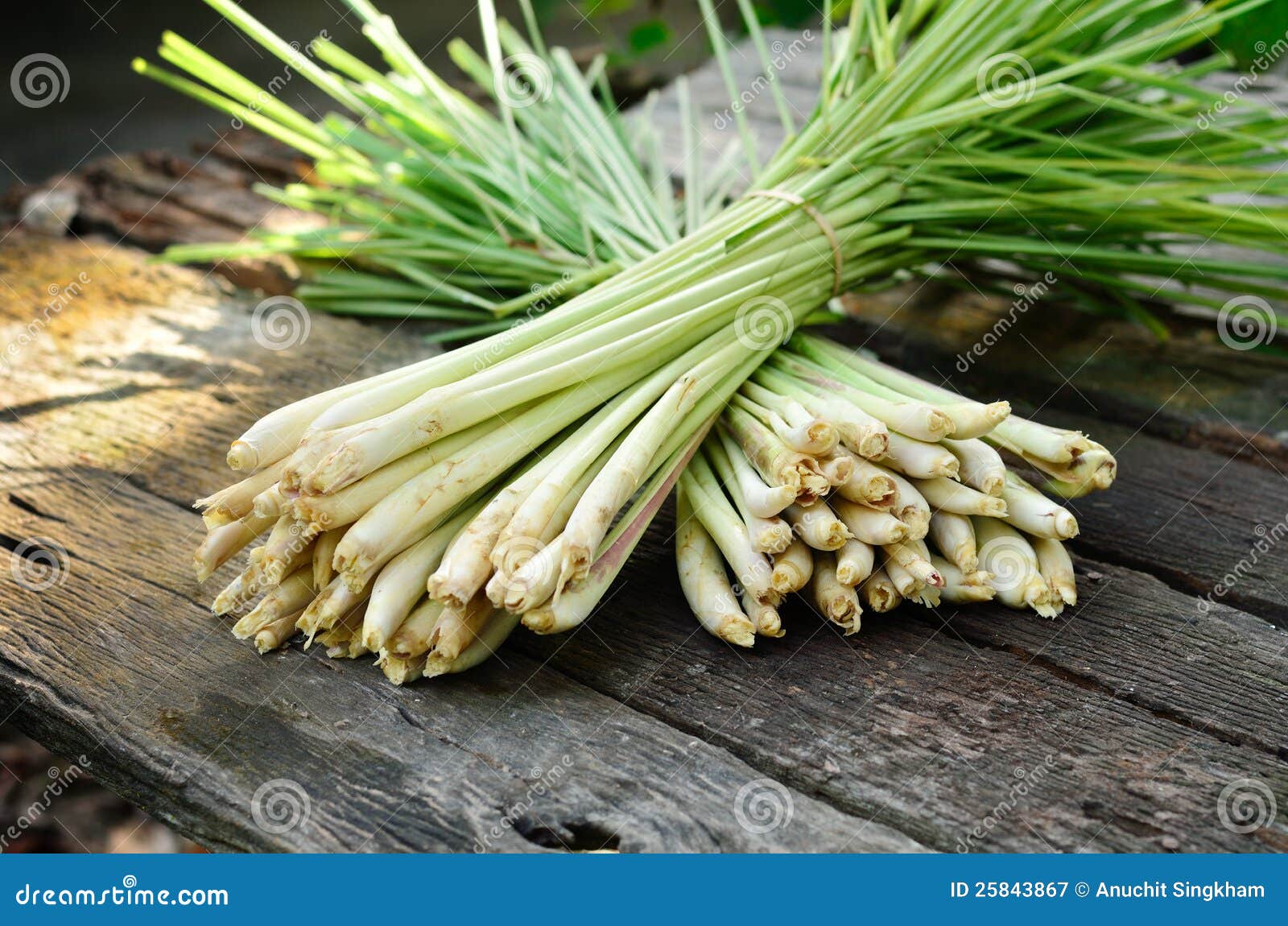 Nard indien image stock. Image du mangez, frais, schénanthe - 25843867