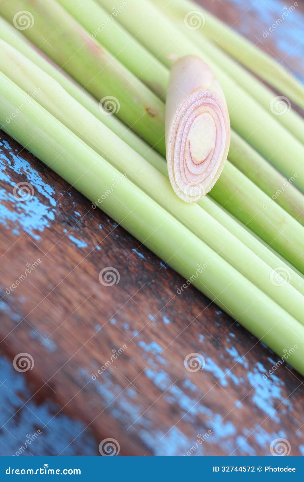 Nard indien photo stock. Image du centrale, assaisonnement - 32744572