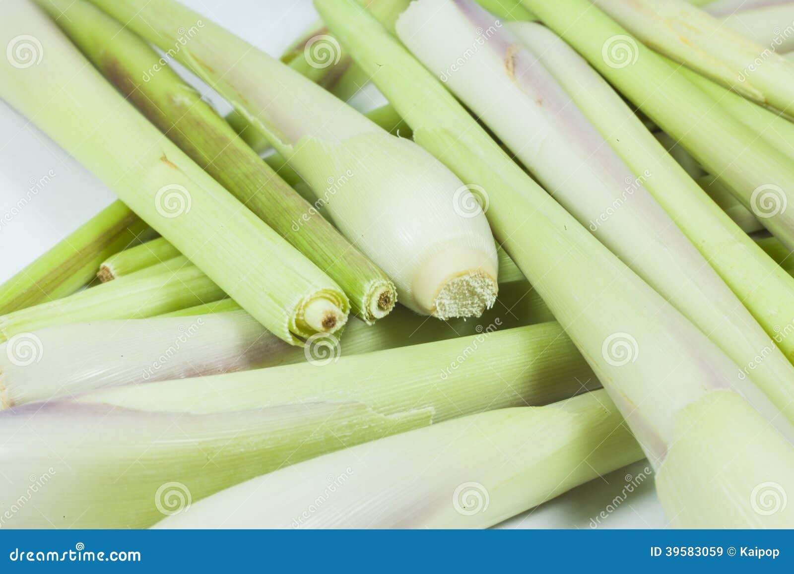 Nardo imagem de stock. Imagem de nardo, tailândia, objetos - 39583059