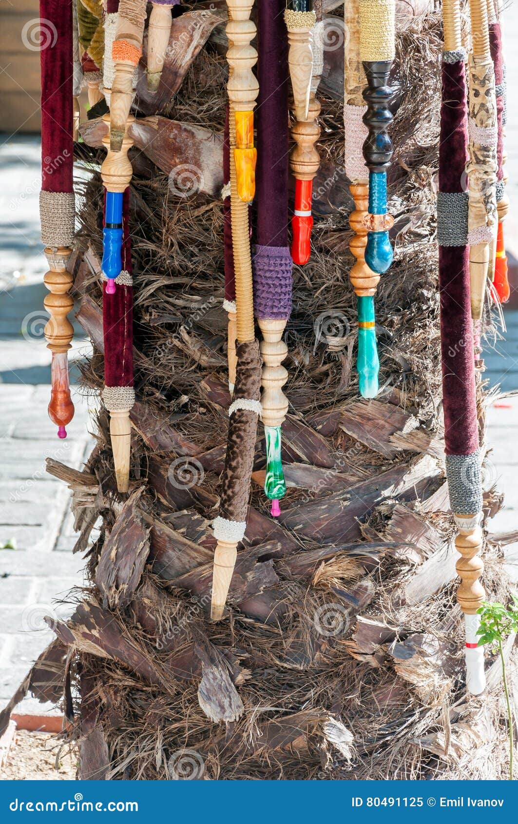 Nargile Pipes Hanging Palm Tree Stock Photos - Free & Royalty-Free ...