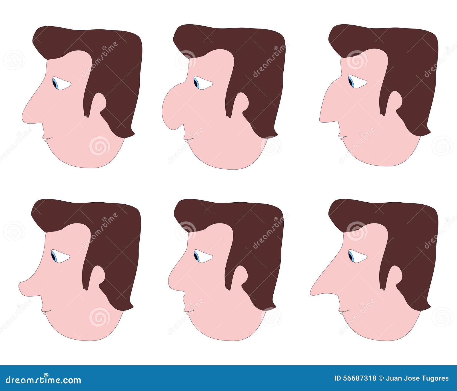 Narices stock illustration. Illustration of sketch, isolated - 56687318