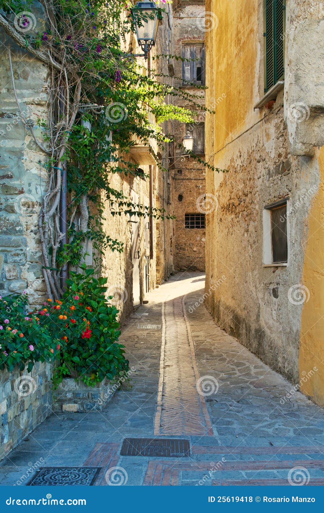 Narrow Alley Way With Fire Escape Ladder Black With White Decorative ...