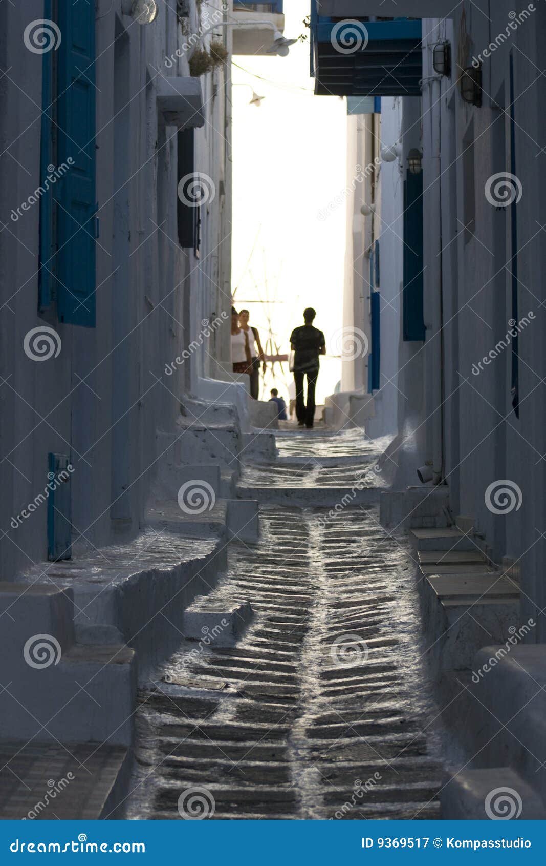 Narrow Alley Way With Fire Escape Ladder Black With White Decorative ...