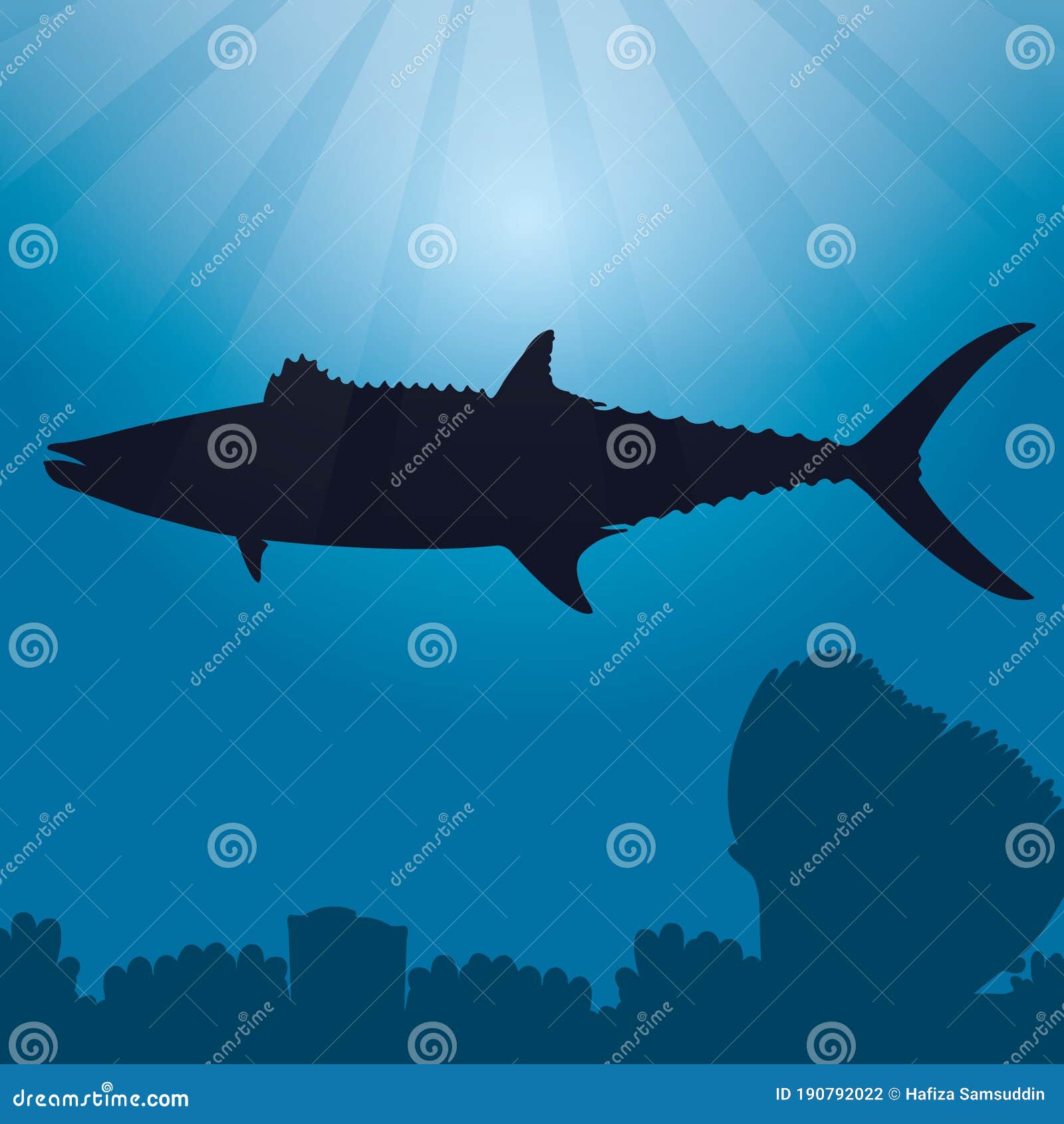 Narrow-barred Spanish Mackerel Silhouette. Vector Illustration ...