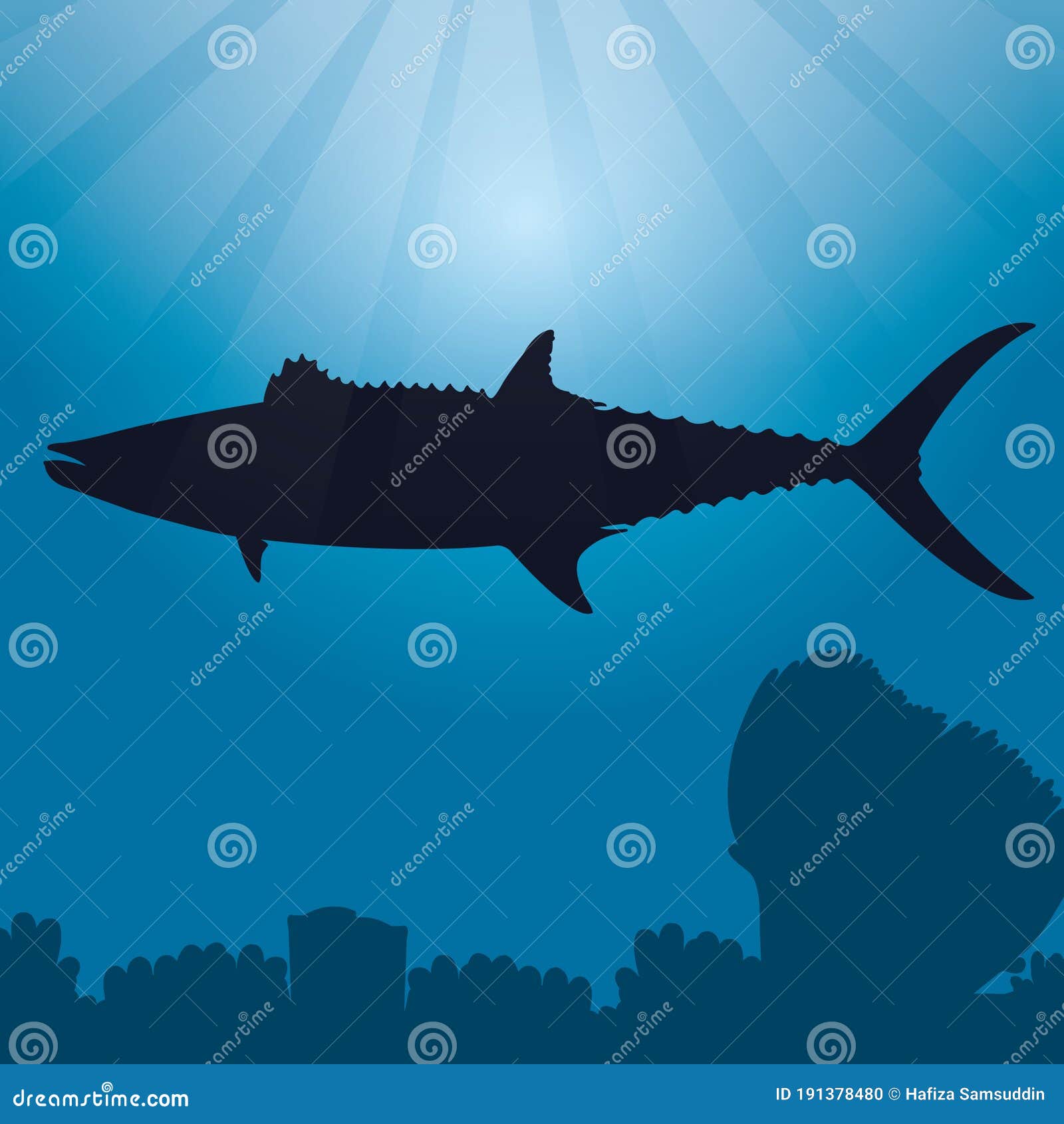 Narrow-barred Spanish Mackerel Silhouette. Vector Illustration ...