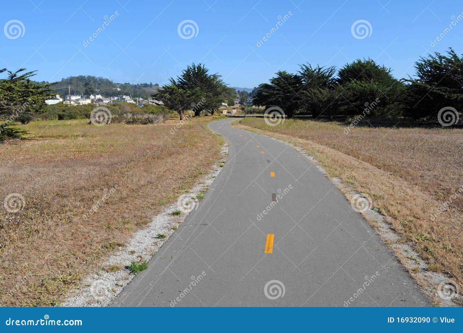 Narrow Bike Path Road stock photo. Image of pathway, yellow - 16932090