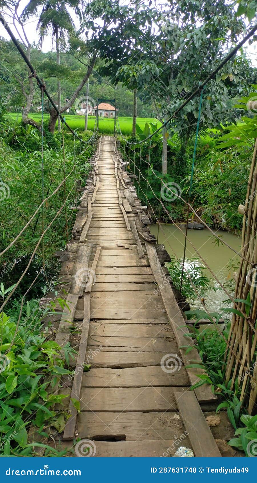 Narrow Bridge for Crossing People Stock Photo - Image of narrow, bridge ...