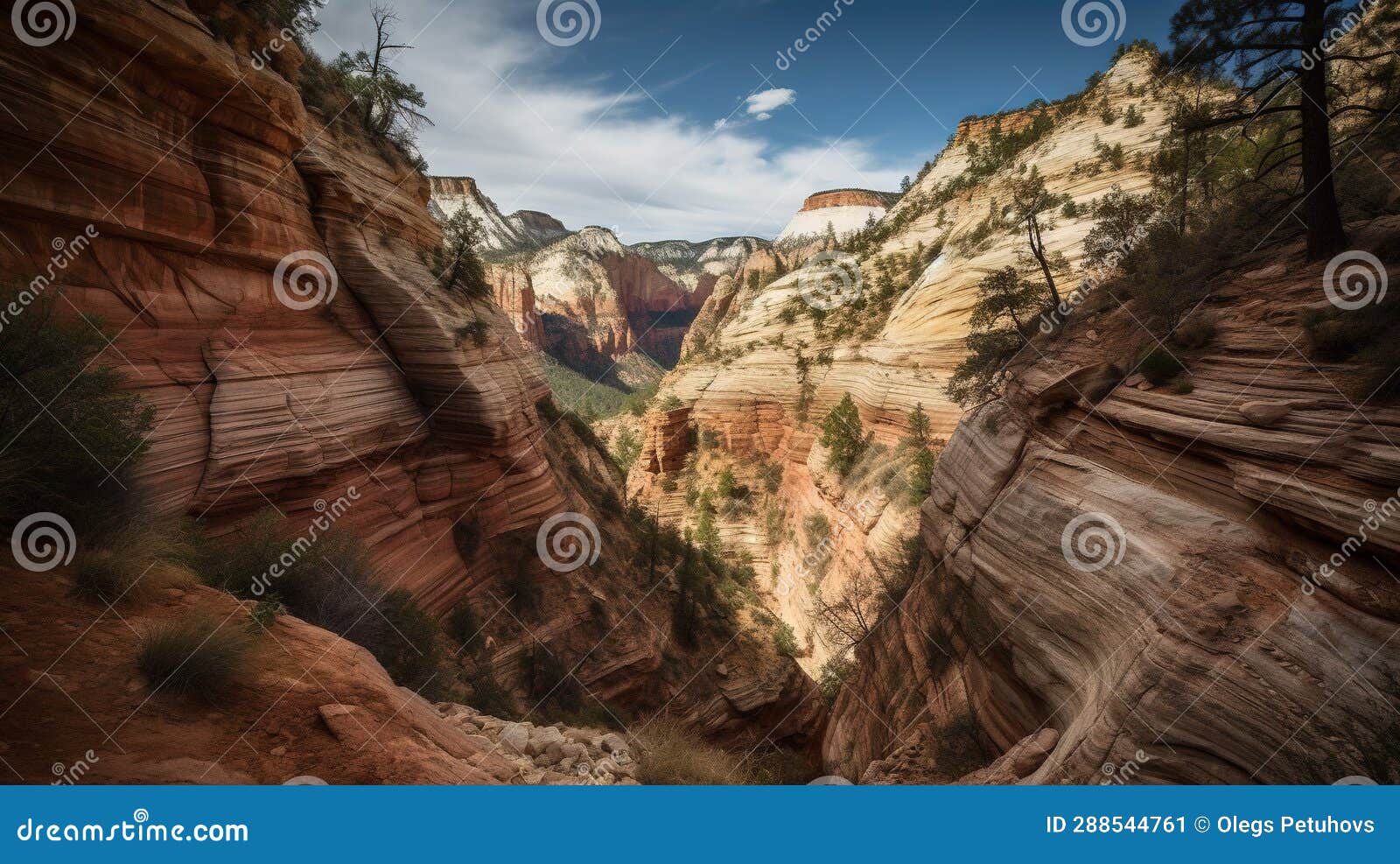 A Narrow Canyon with Trees on the Sides of it and Mountains in the ...