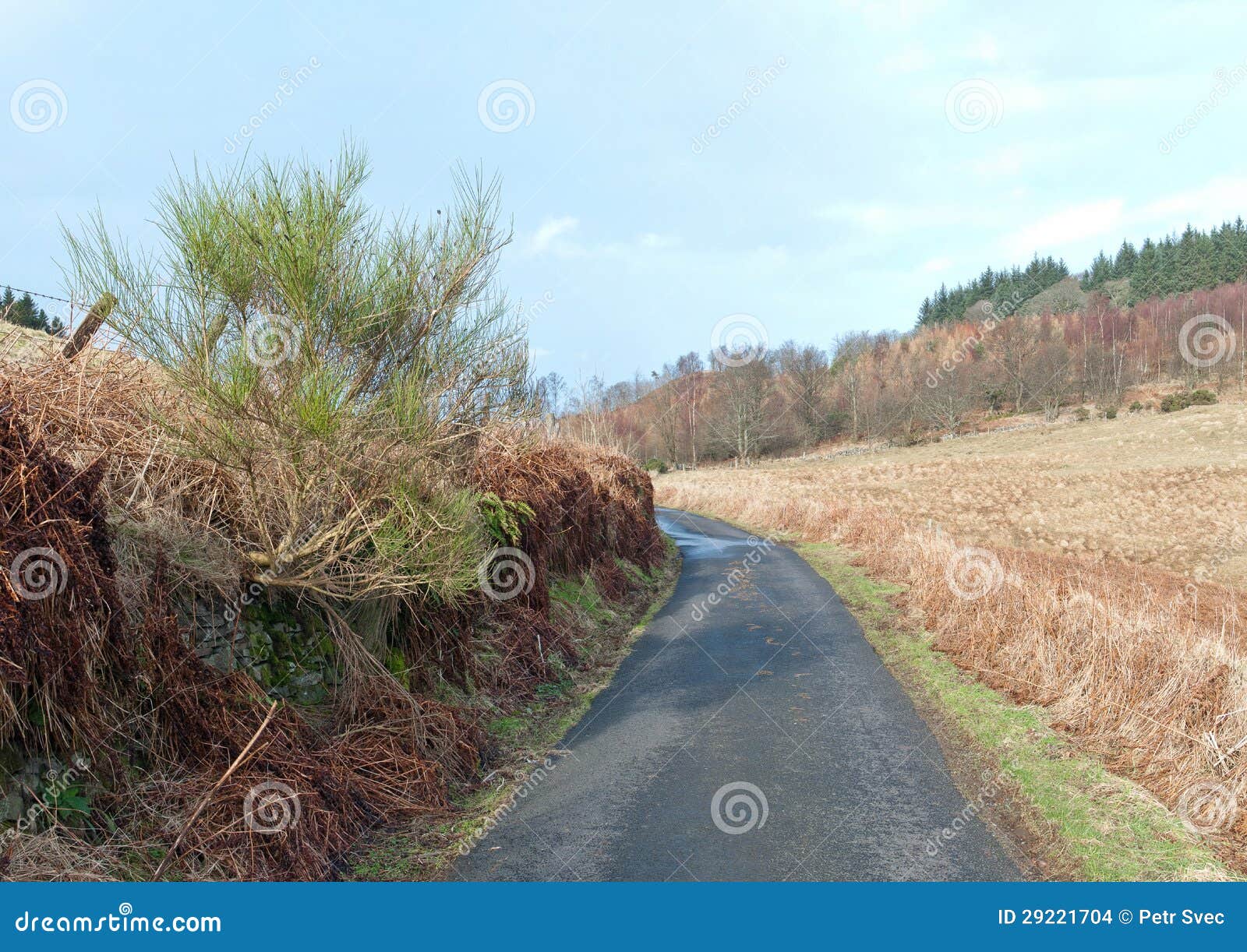 Narrow country road stock photo. Image of narrow, kingdom - 29221704